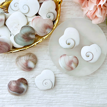 Explore Shiva Shell: Properties, Meaning, Care Guide, and Uses – The ...